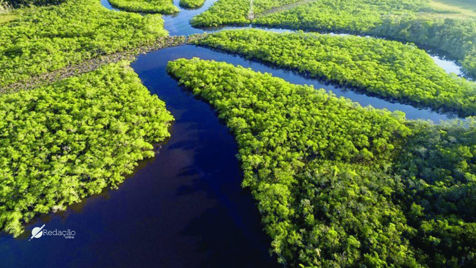 Dia da Amazônia como repertório: no Enem e vestibulares
